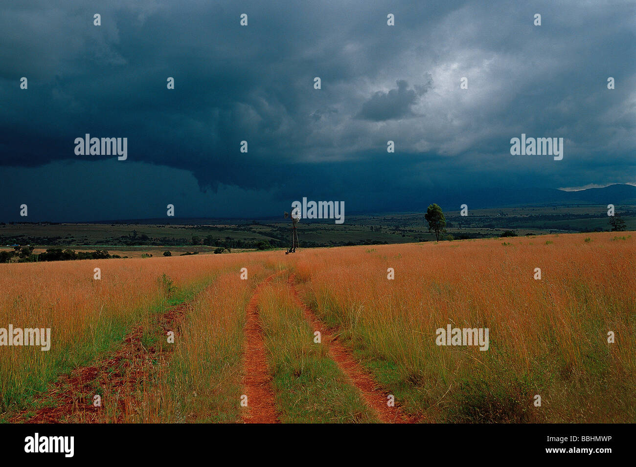 Storm clouds in the Highveld Stock Photo - Alamy
