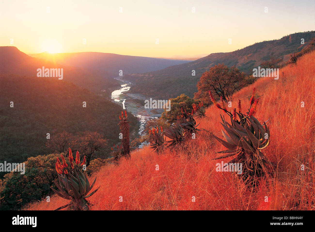 Battle of isandlwana hi-res stock photography and images - Alamy