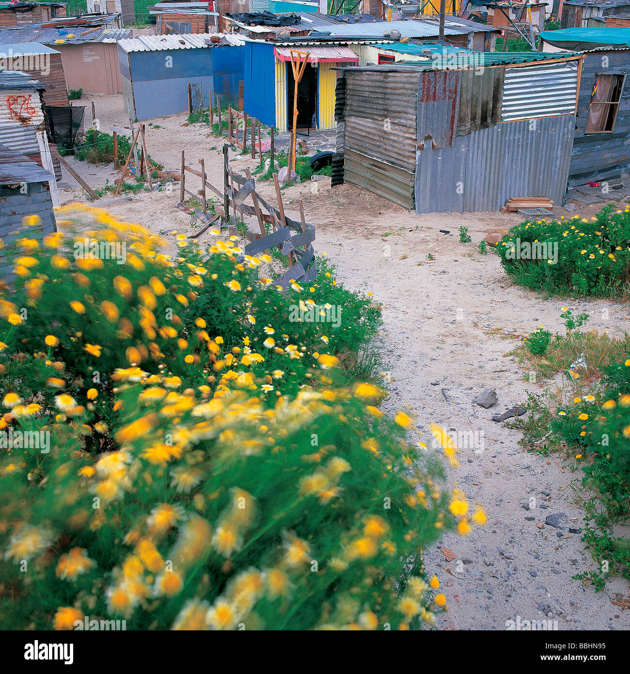 Informal Settlements High Resolution Stock Photography and Images - Alamy