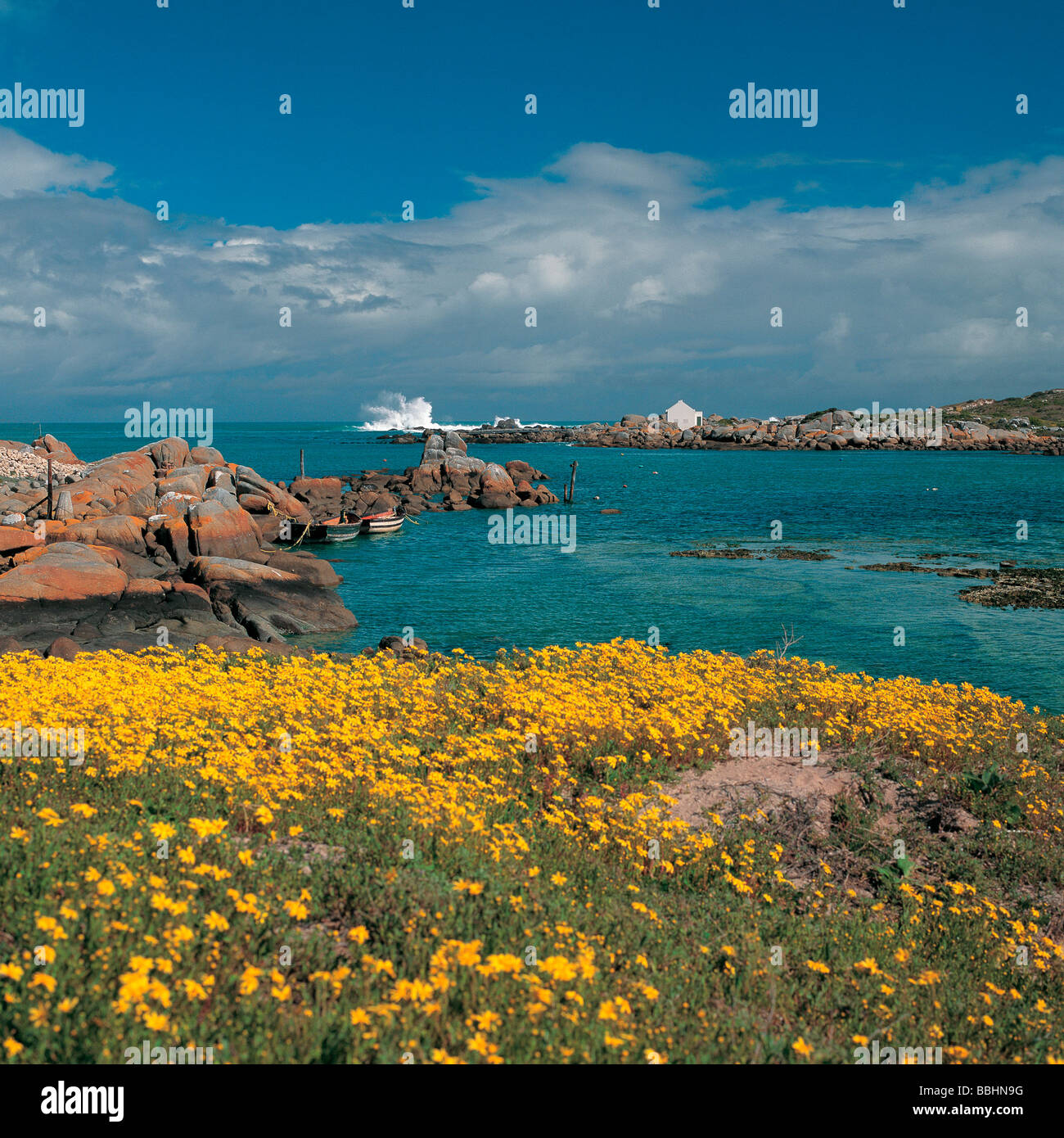 JACOBSBAAI ONE OF THE MANY FISHING VILLAGES THAT CAN BE FOUND ALONG THE ...