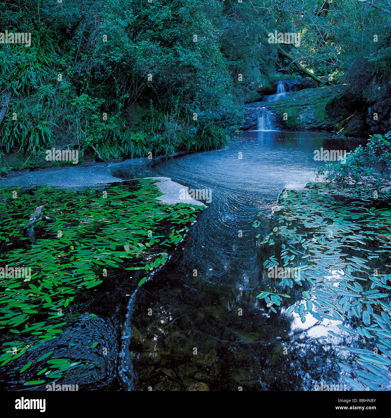 NATURAL SPLENDOUR ALONG THE OTTER TRAIL Stock Photo - Alamy