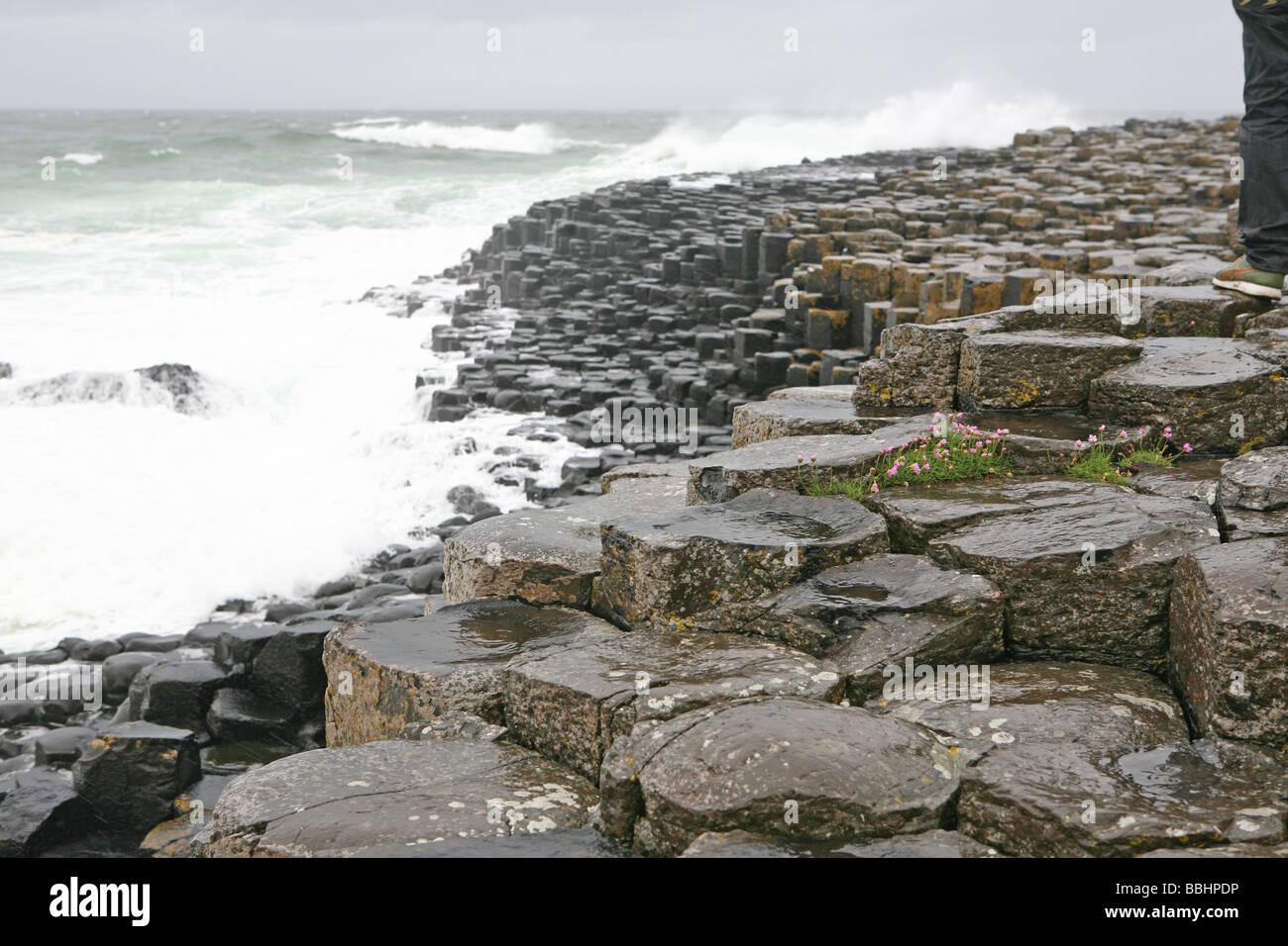 Giant's Causeway Northern Ireland showing Basalt columns UNESCO world ...
