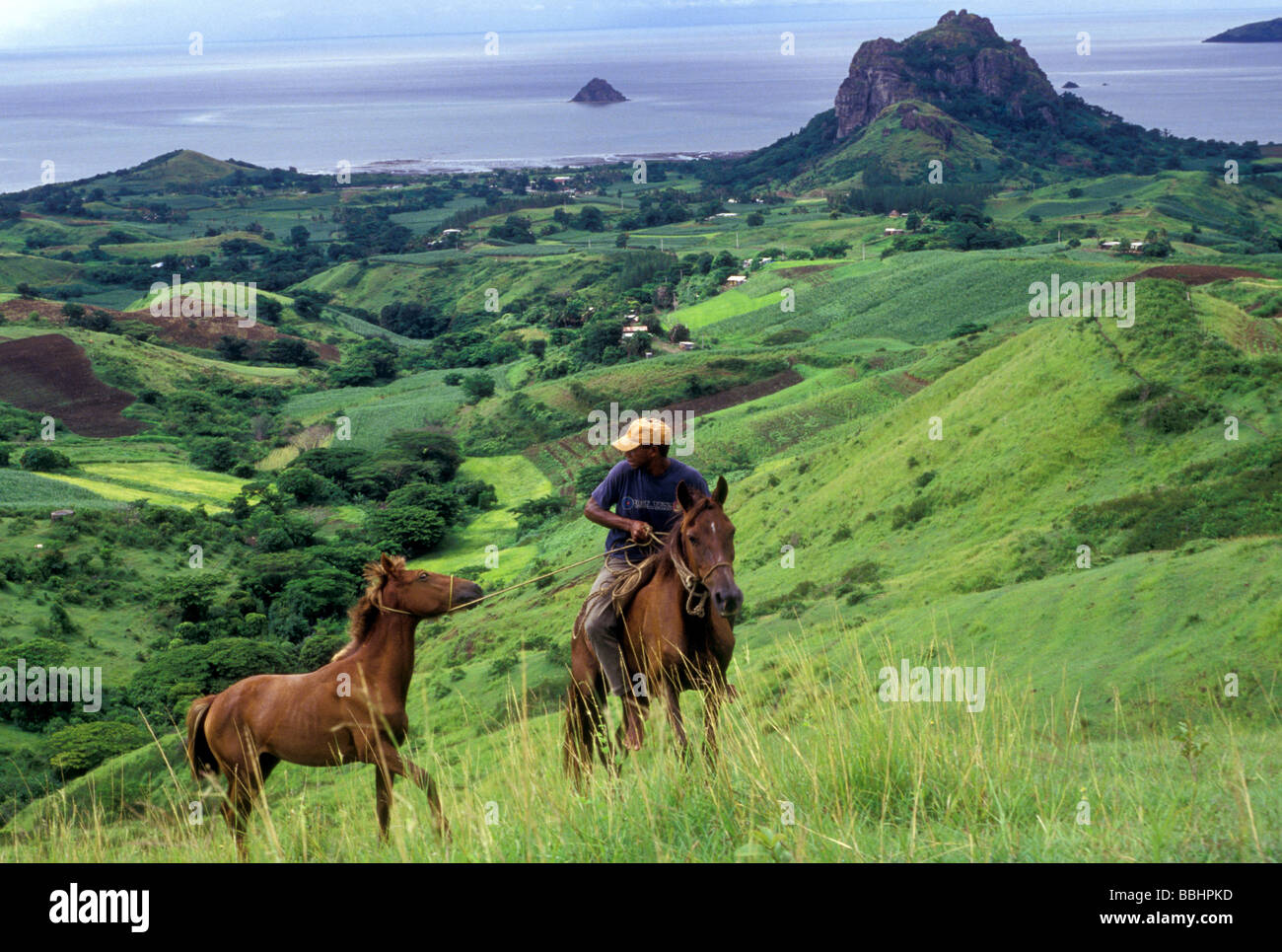 horse riding in nakauvadra hills rakiraki fiji Stock Photo - Alamy