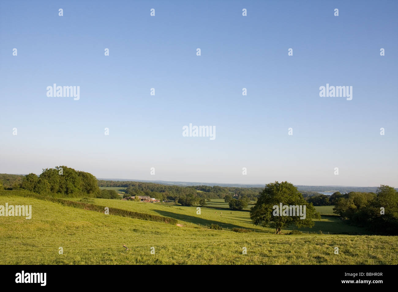 pastoral scene farmland in Kent England Stock Photo - Alamy