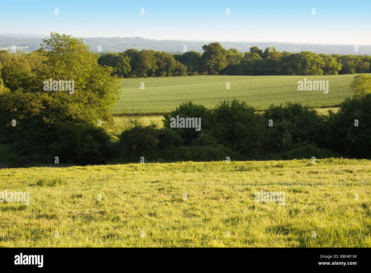 pastoral scene farmland in Kent England Stock Photo - Alamy