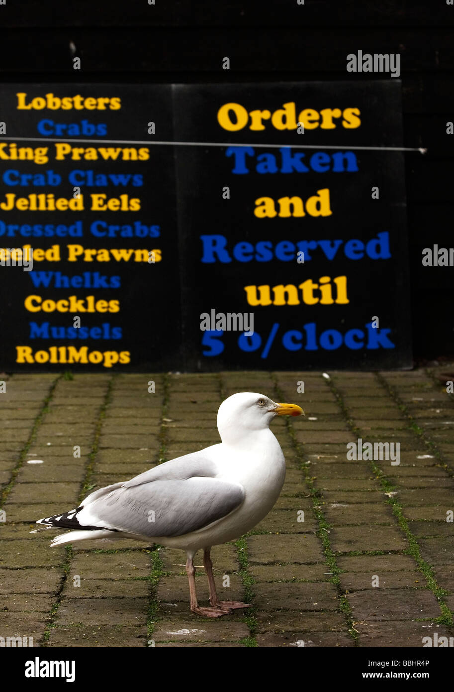 Fishmonger signs hi-res stock photography and images - Alamy