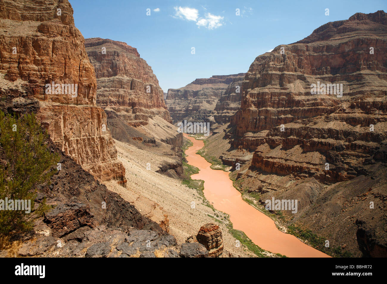 Orange coloured Colorado River flowing through the Grand Canyon at the ...