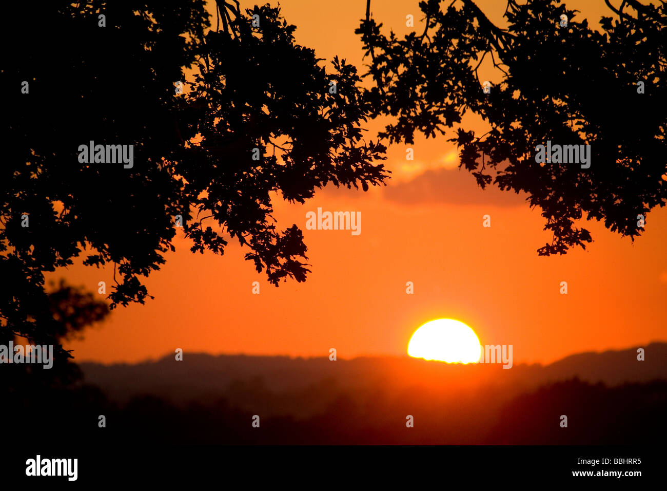 glorious deep red orange sunset, Kent, England Stock Photo - Alamy