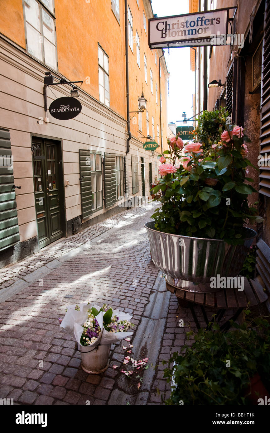 Hanging shop signs hi-res stock photography and images - Alamy