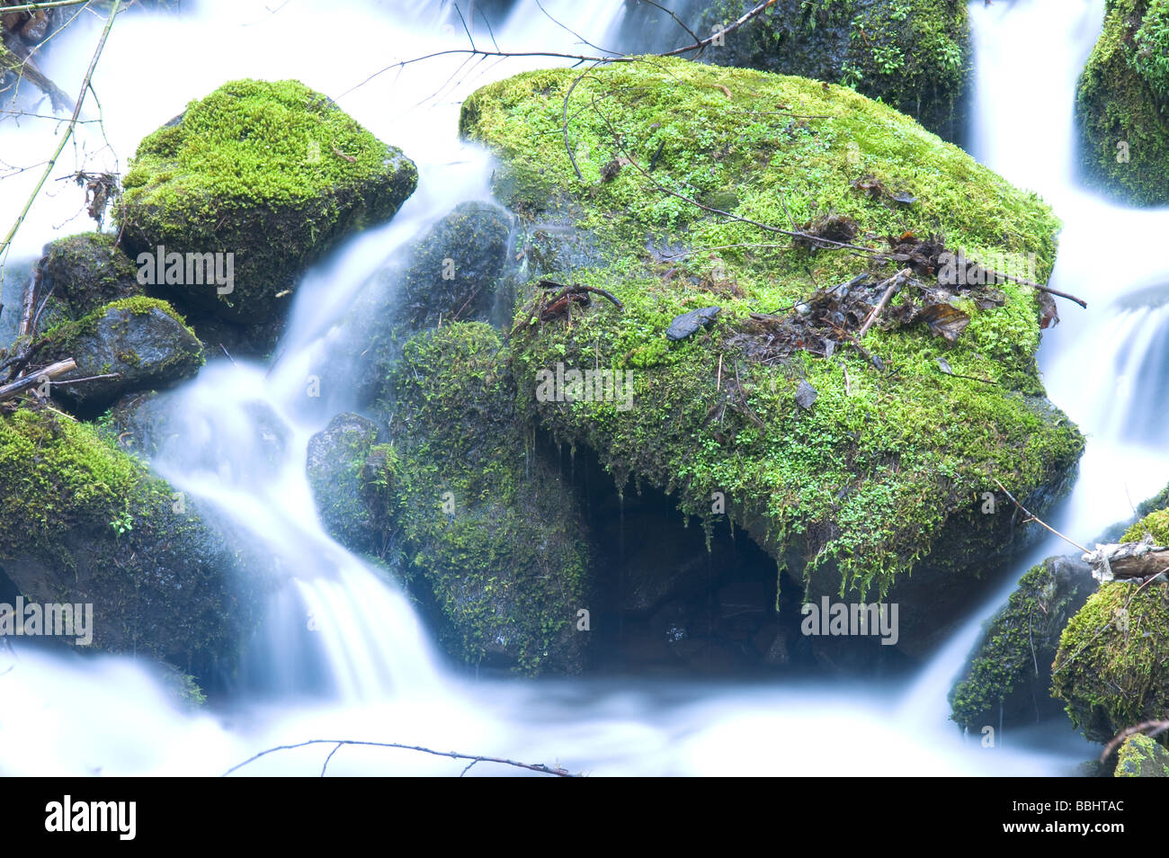 Water Stream with Green Moss Stock Photo - Alamy