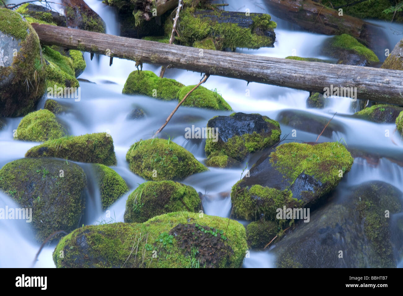 Water Stream with Green Moss Stock Photo - Alamy