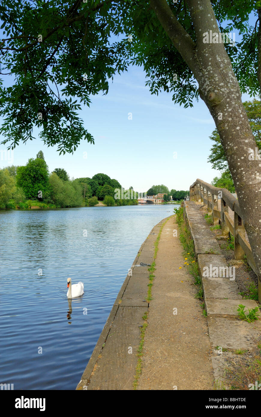 River Thames at Hampton Court Stock Photo - Alamy
