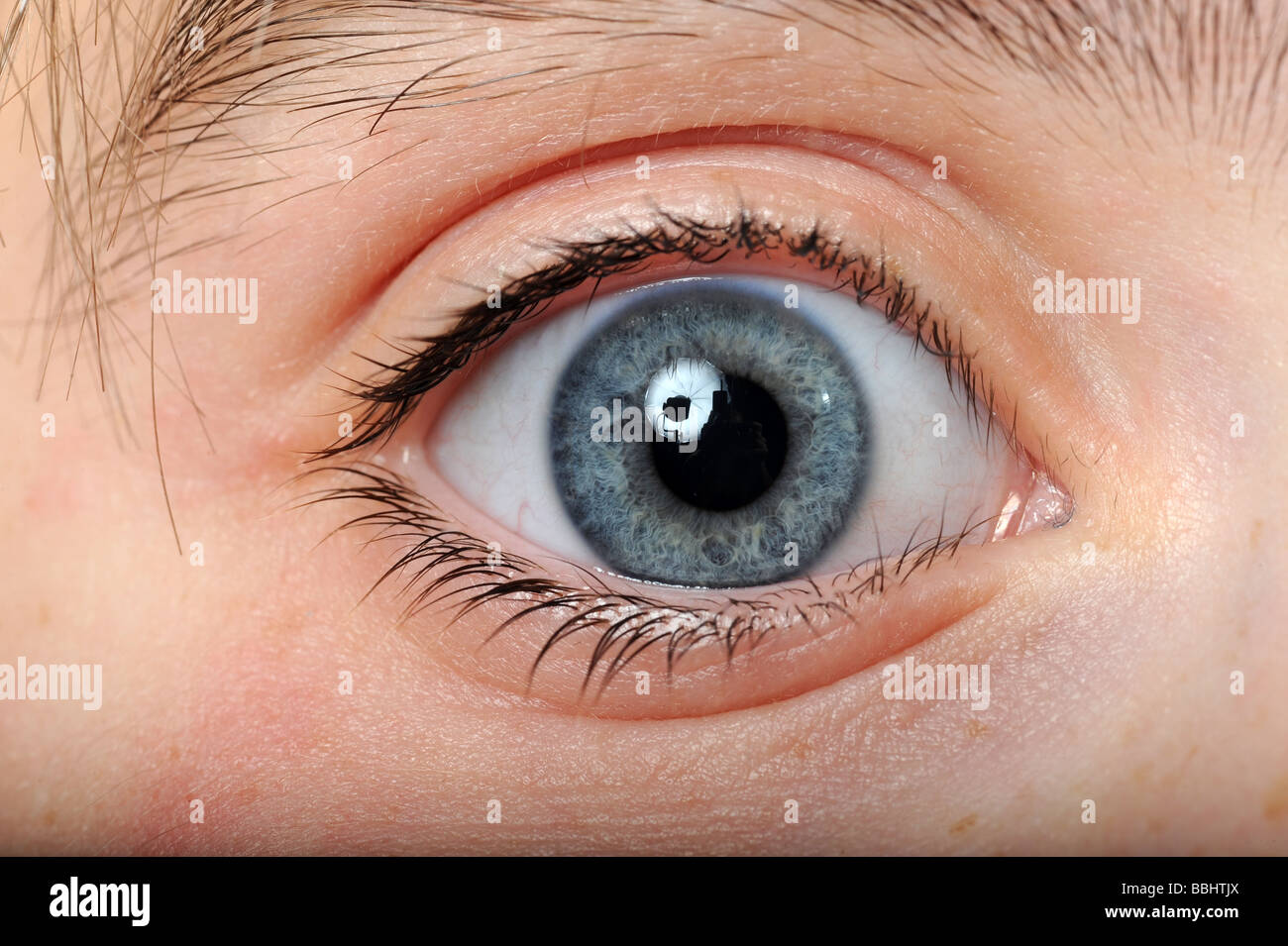Retina hi-res stock photography and images - Alamy