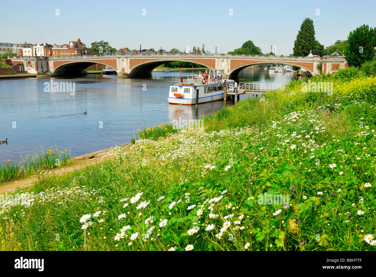 River Thames at Hampton Court Stock Photo - Alamy
