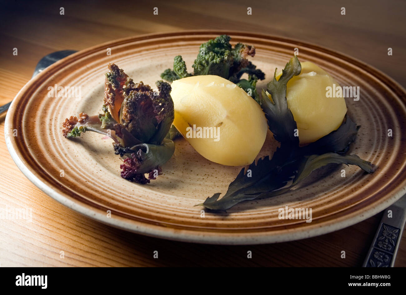 Wild organic food Simple hearty dish containing of wild Sea Kale and ...