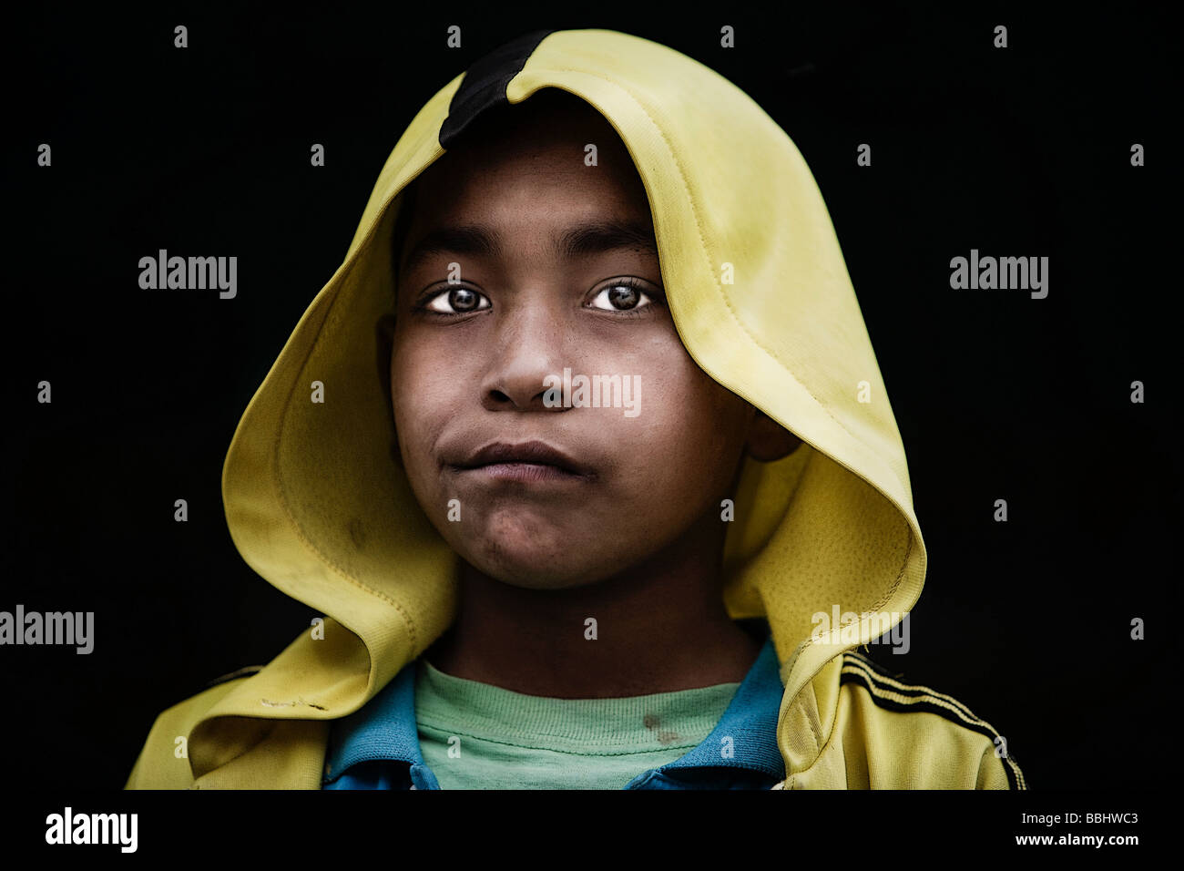Pokhara orphan hi-res stock photography and images - Alamy