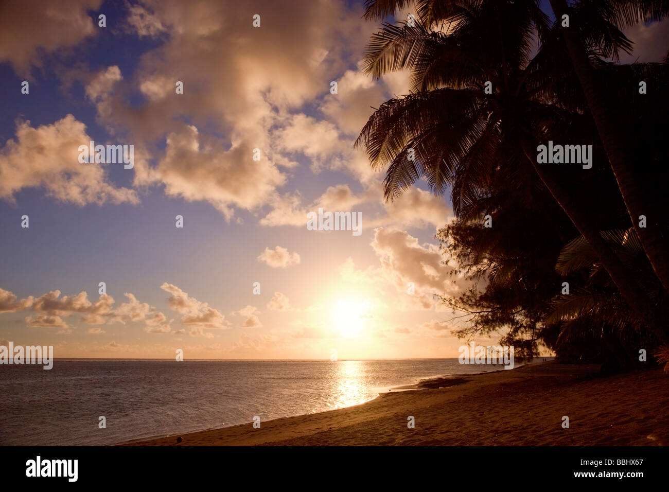 Tropical Beach with Coco Palms at Sunset Rarotonga Cook Islands ...