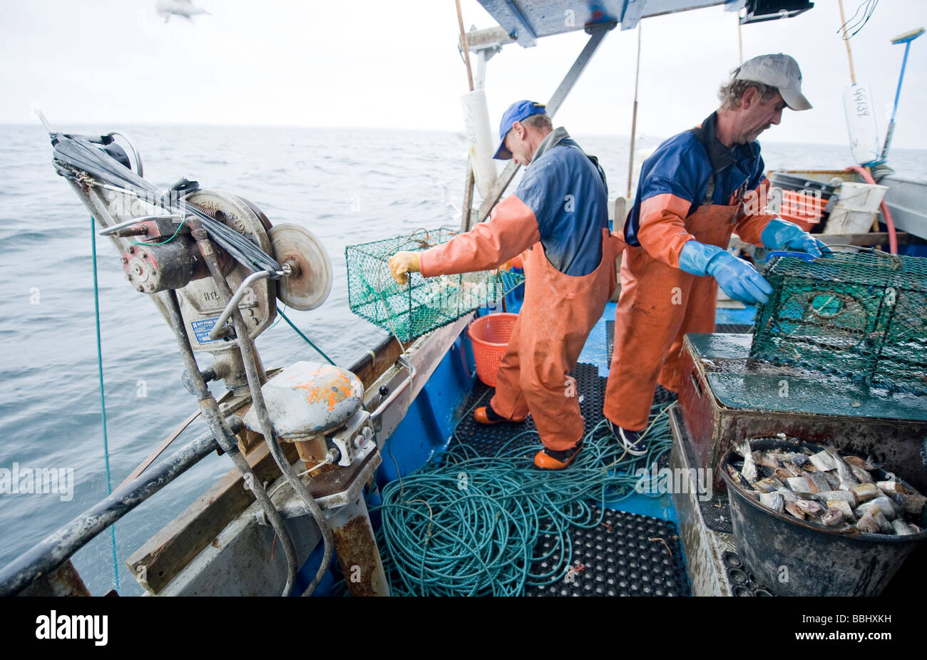 Crayfish fishing by use of pots, a more moderna and nature friendly ...