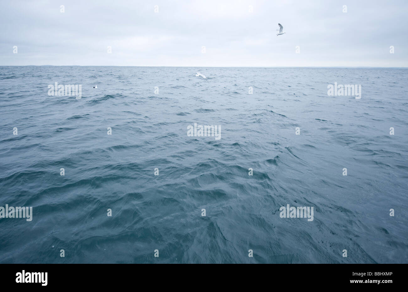 Coastel view hi-res stock photography and images - Alamy
