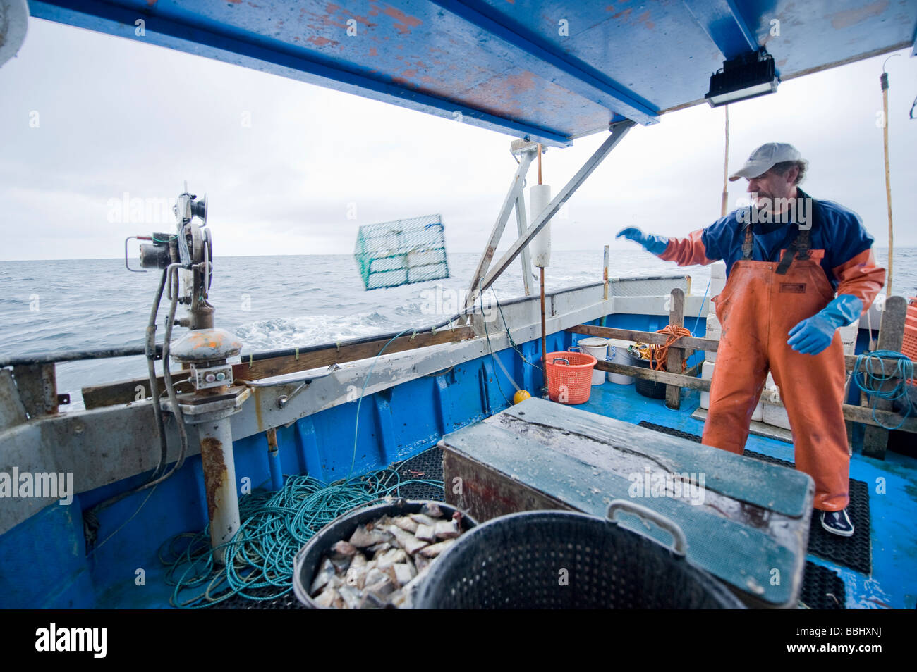 Crayfish fishing by use of pots, a more moderna and nature friendly ...