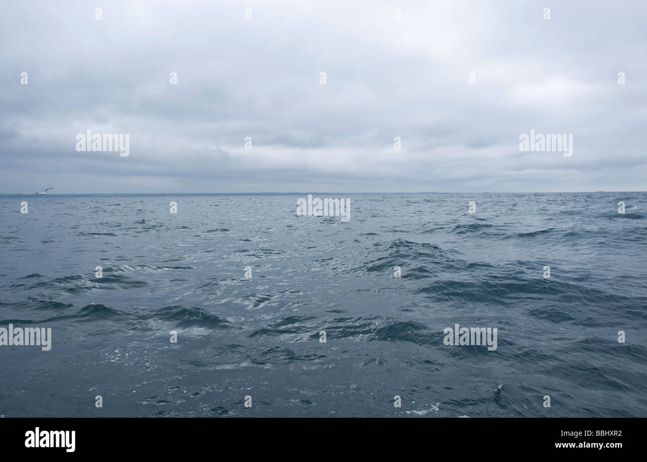 Coastel view from the swedish west coast Stock Photo - Alamy