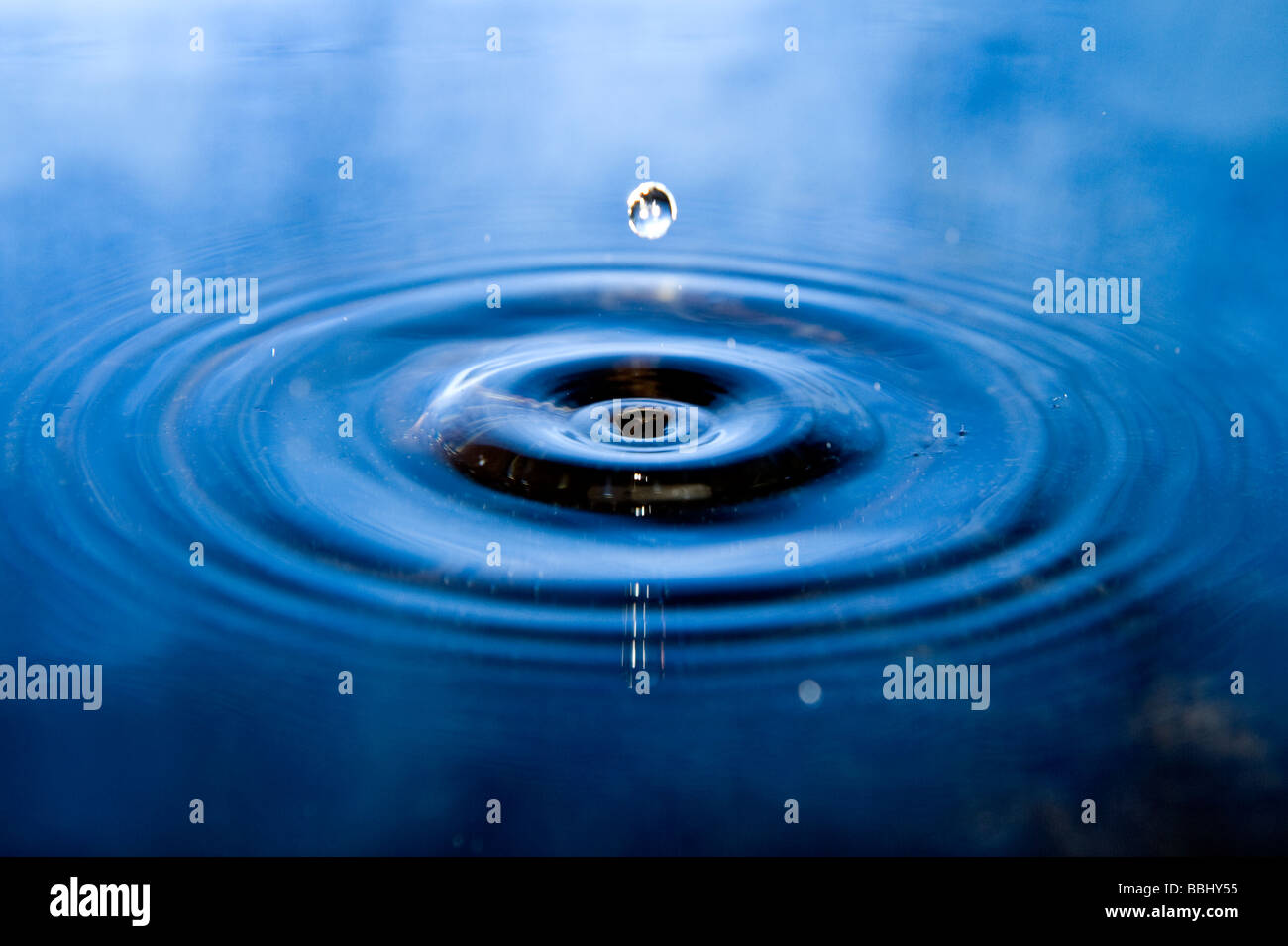Water drop falling on water surface hi-res stock photography and images ...
