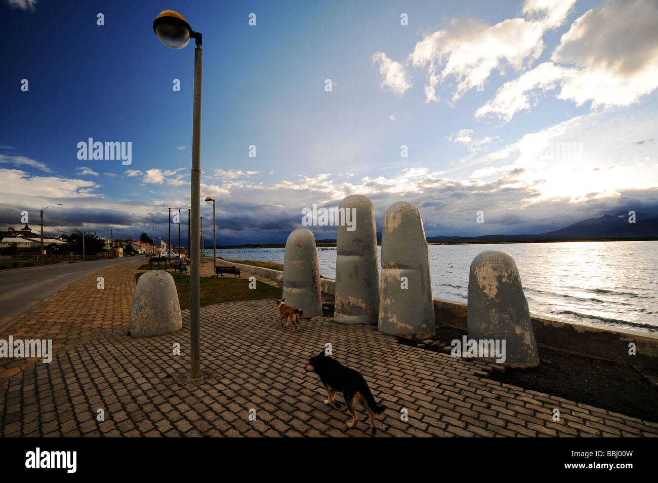 Stray dogs in Puerto Natales, Chile Stock Photo - Alamy