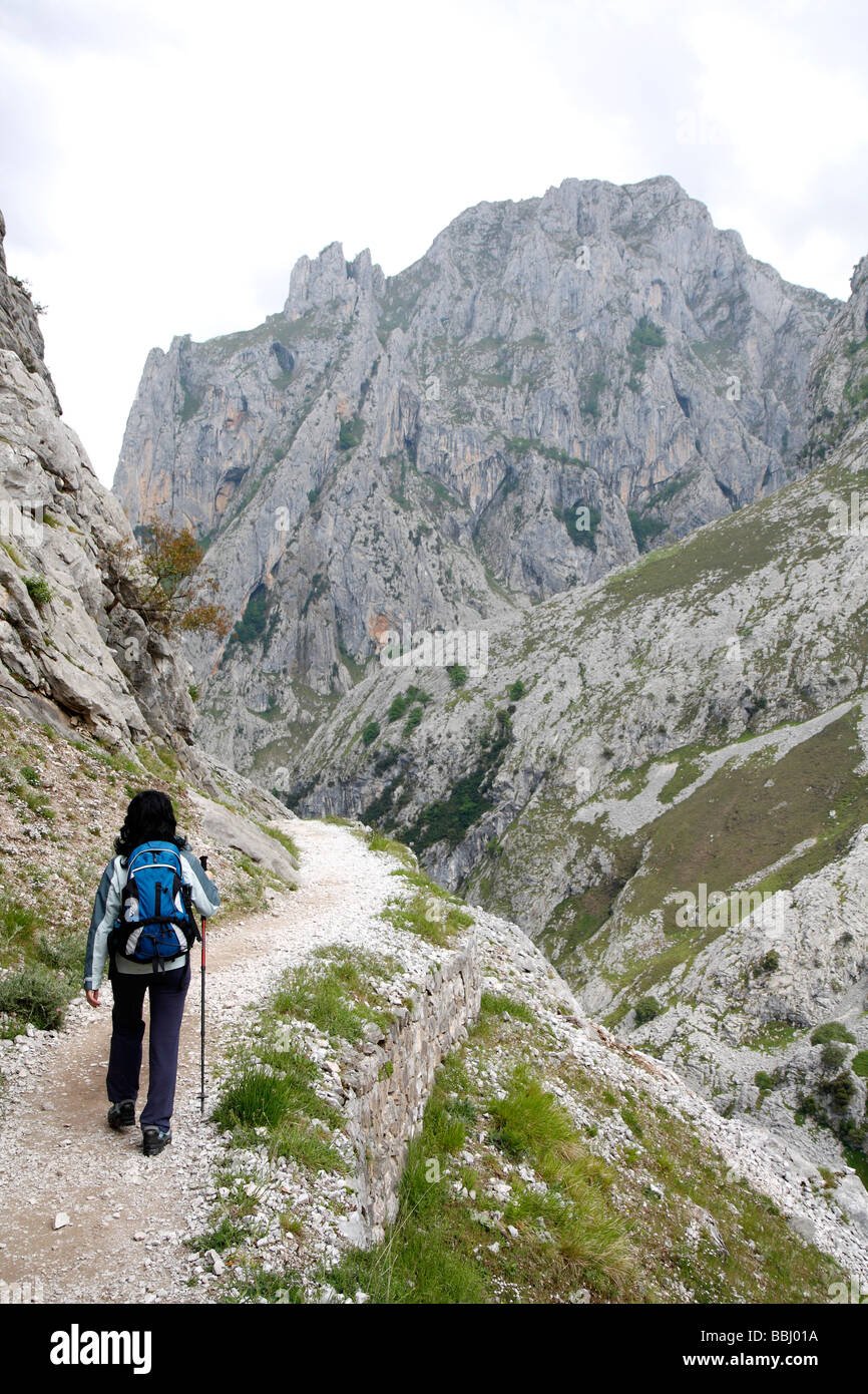 Cares River gorge between Asturias and Leon provinces. Picos de Europa ...