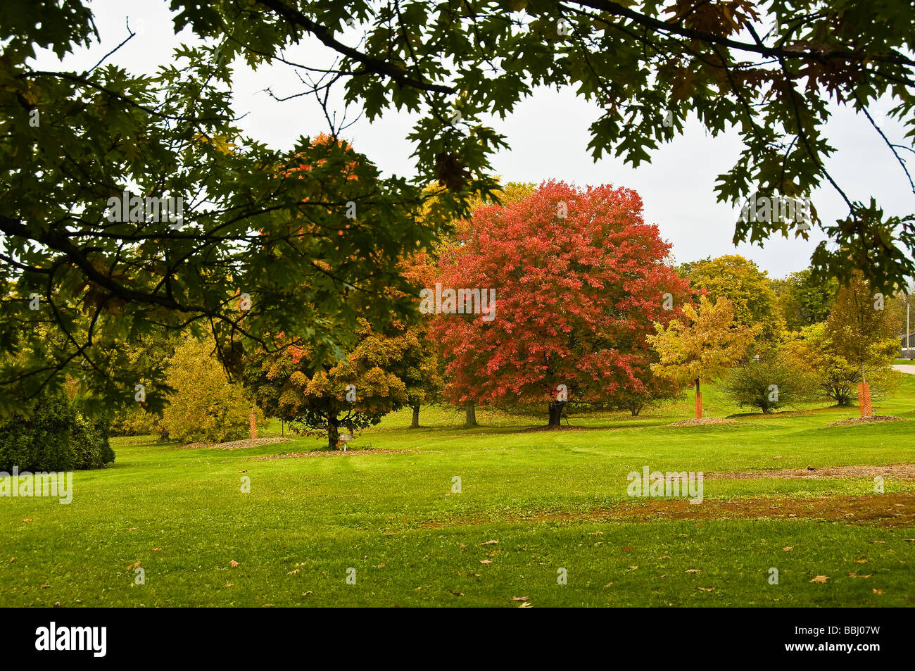 Royal botanical gardens canada hi-res stock photography and images - Alamy