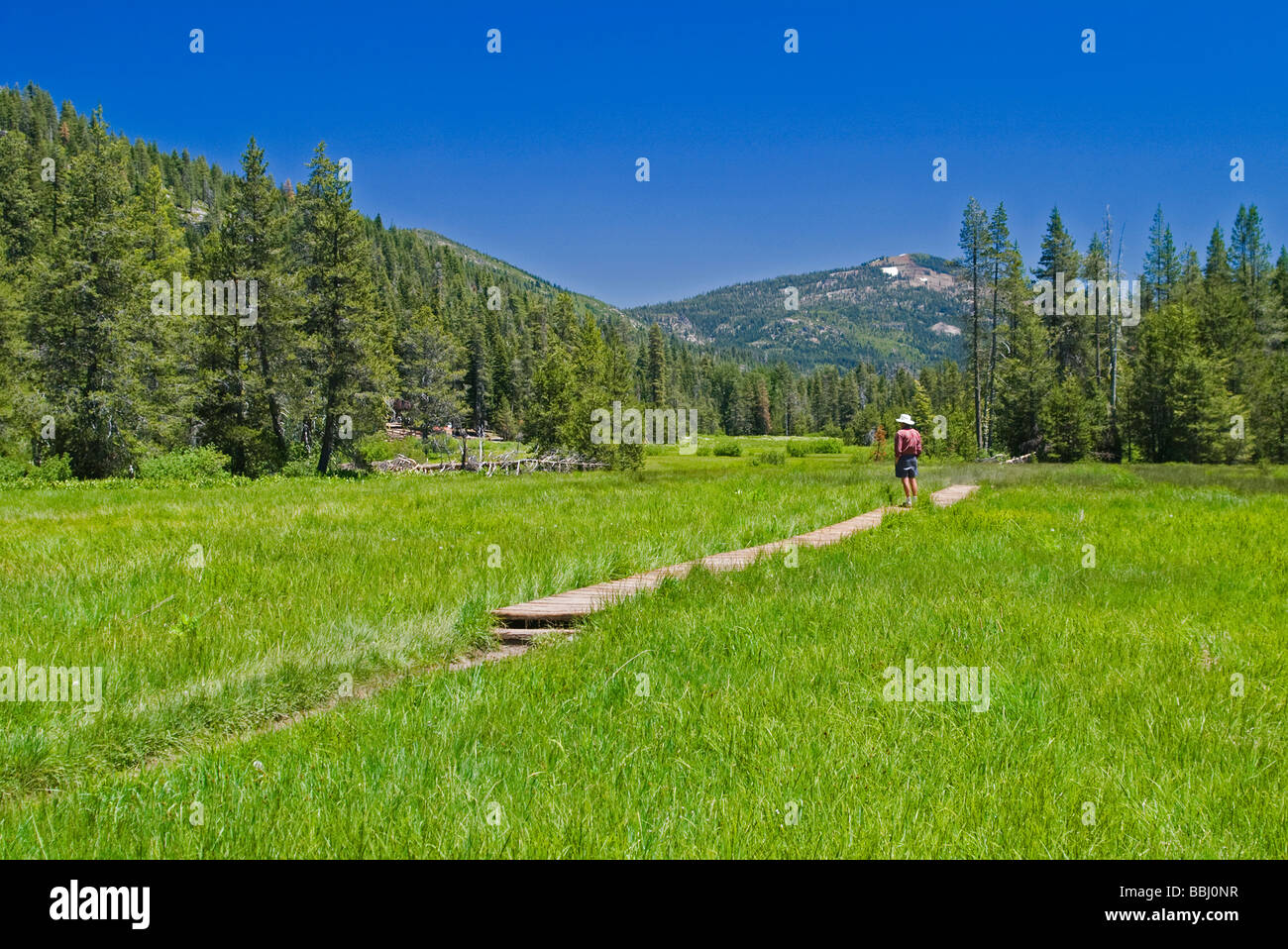 USA California Lassen Volcanic National Park Warner Valley hiker on ...