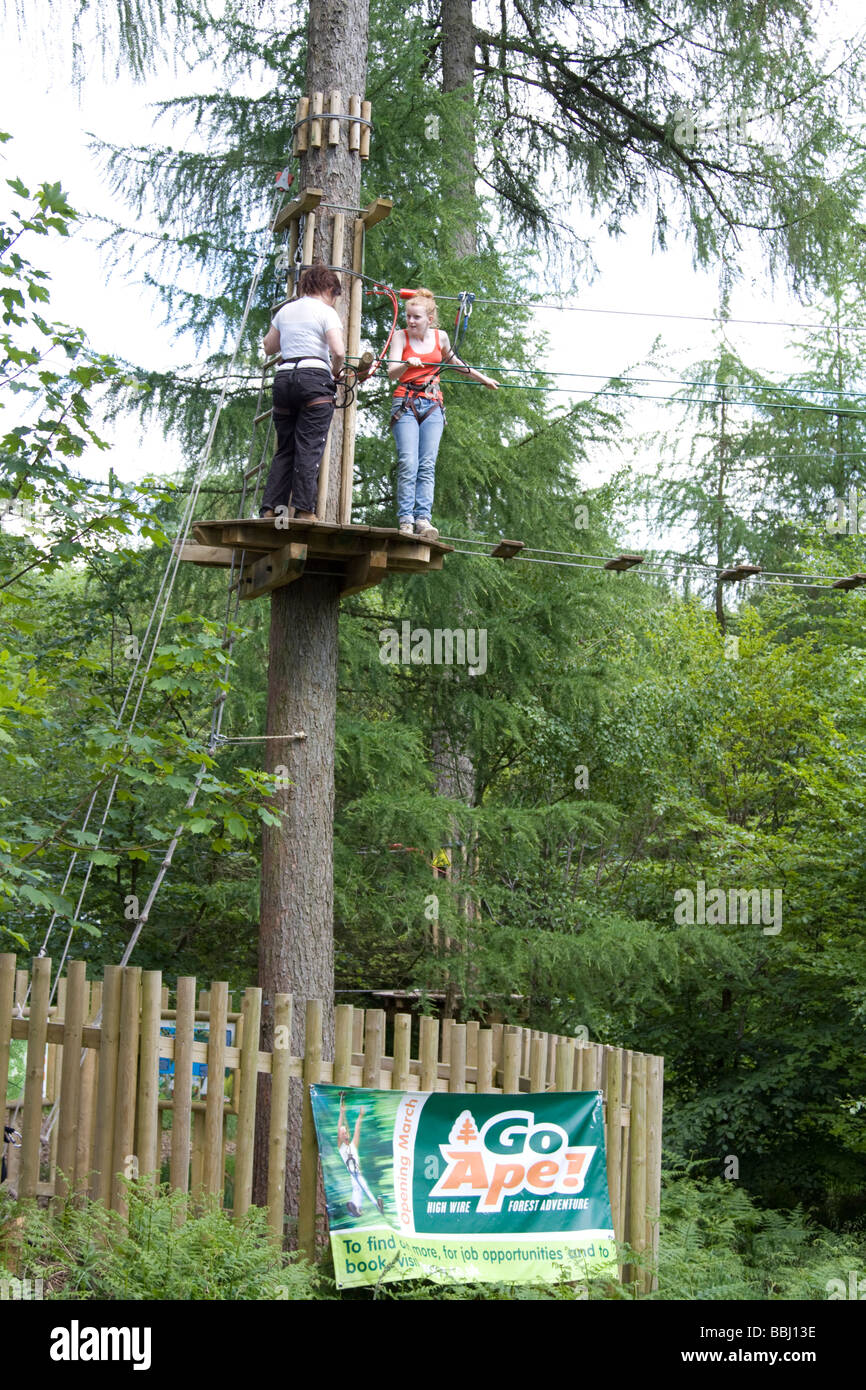 Go ape adventure park hi-res stock photography and images - Alamy