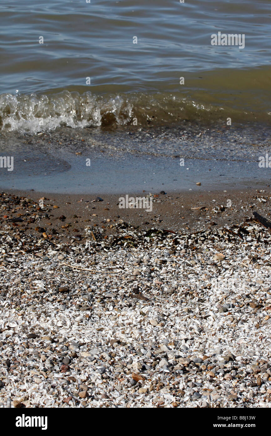 Polluted a beach at Lake Erie from above overhead top view nobody in ...