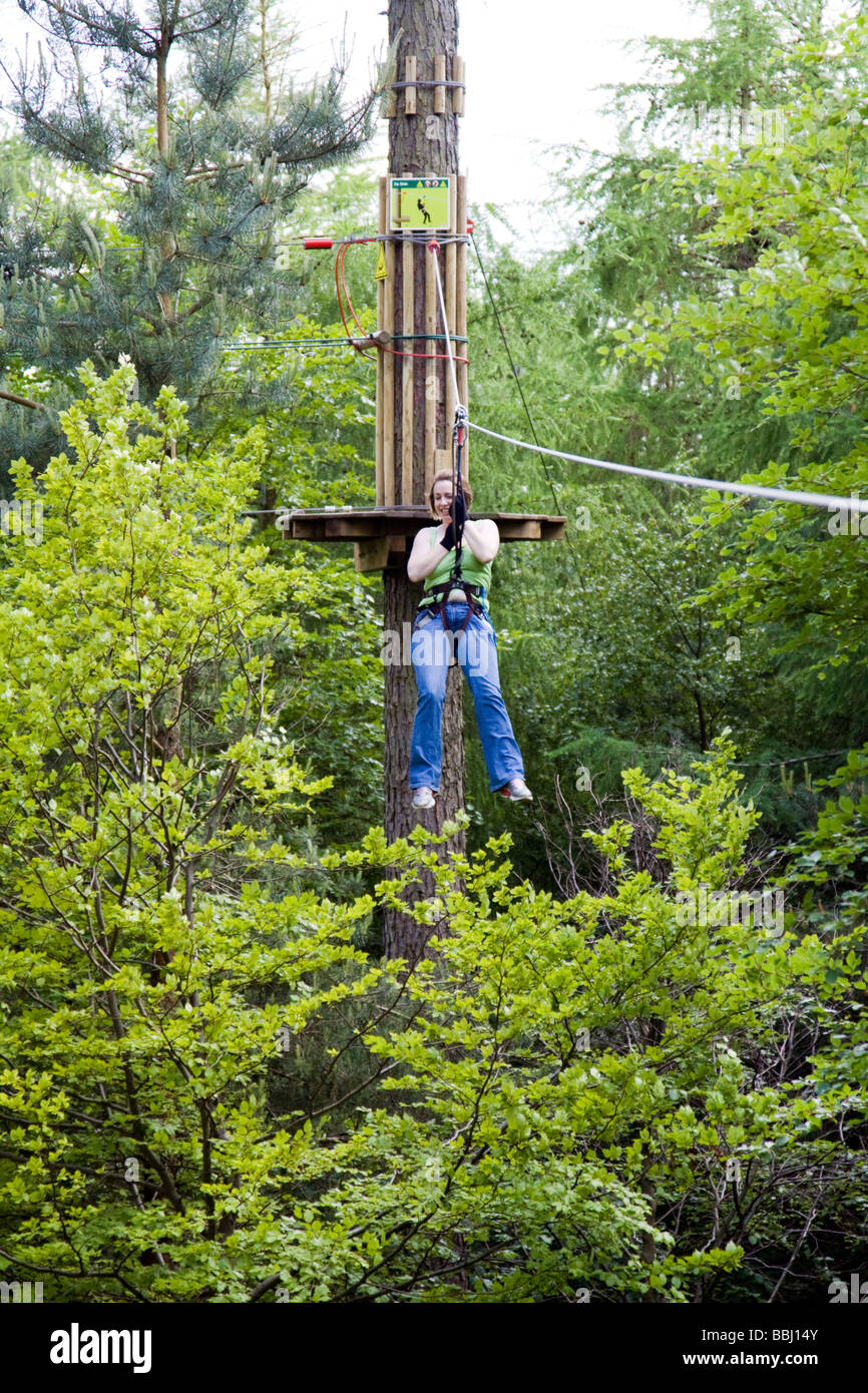 Go ape adventure park hi-res stock photography and images - Alamy