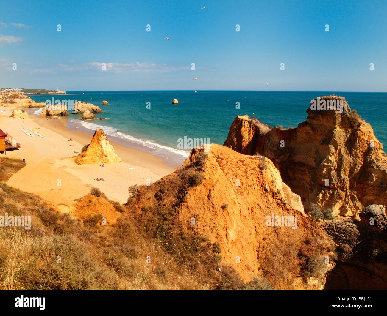 The beach at Praia de Rocha near Portimao Algarve Portugal Stock Photo ...