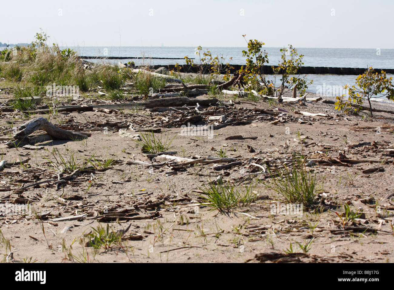 American lake polluted hi-res stock photography and images - Alamy