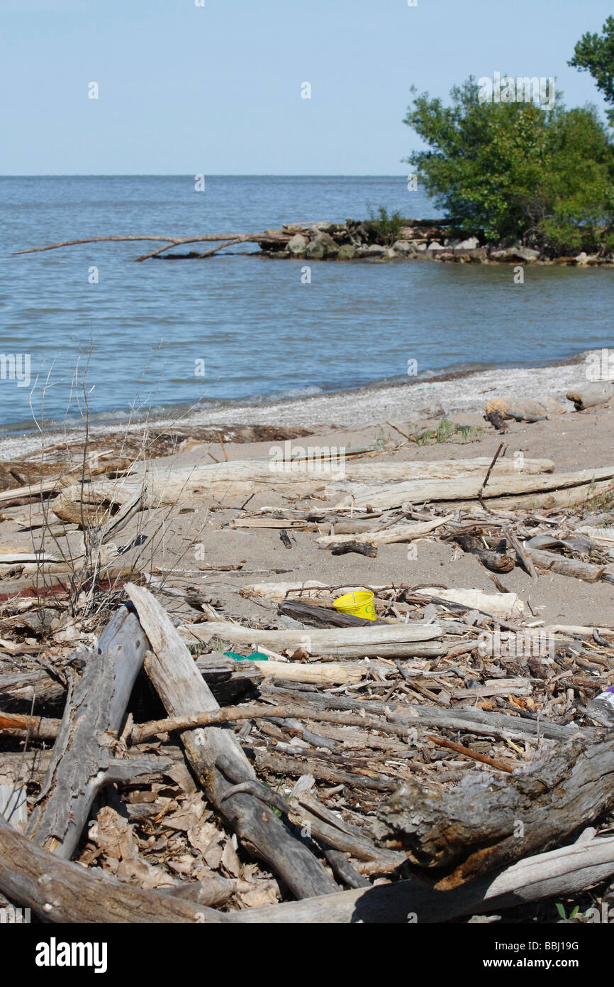 Polluted beach photos hi-res stock photography and images - Alamy