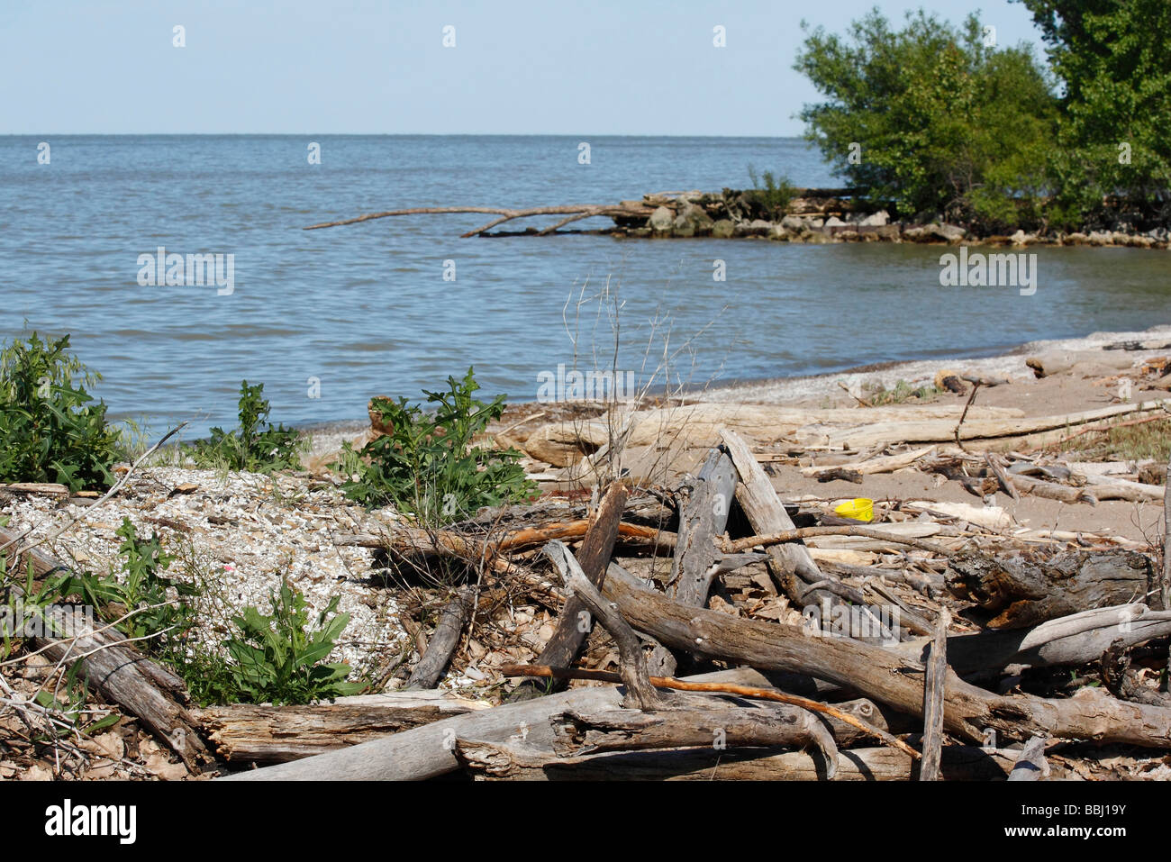 Pollution lake erie hi-res stock photography and images - Alamy