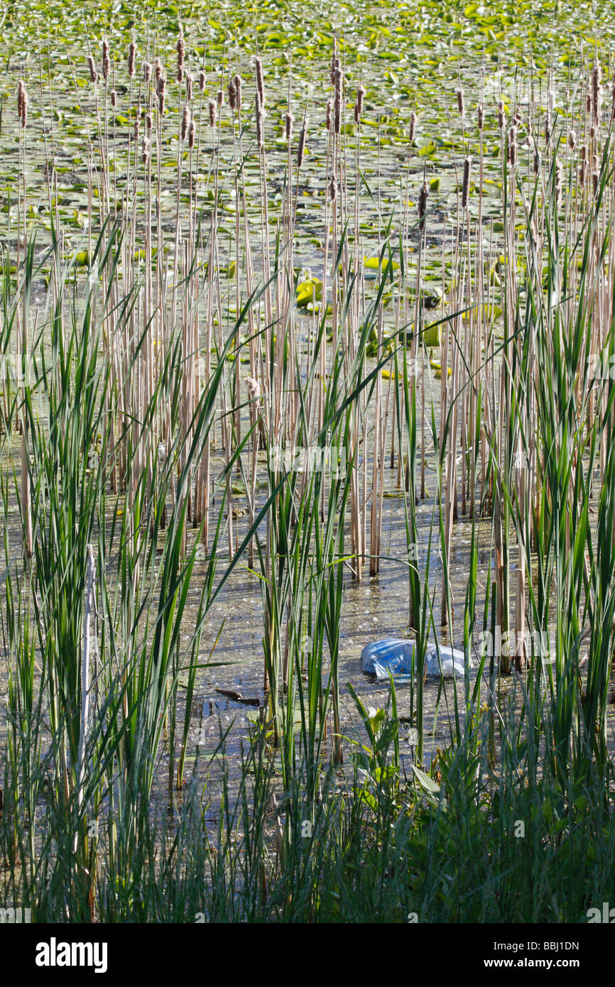 polluted water from above overhead top view close up nobody none ...