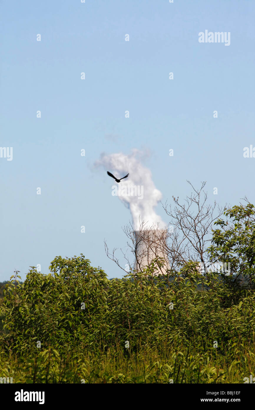 Power station nuclear reactor Toledo Ohio in USA spoil nature Stock ...