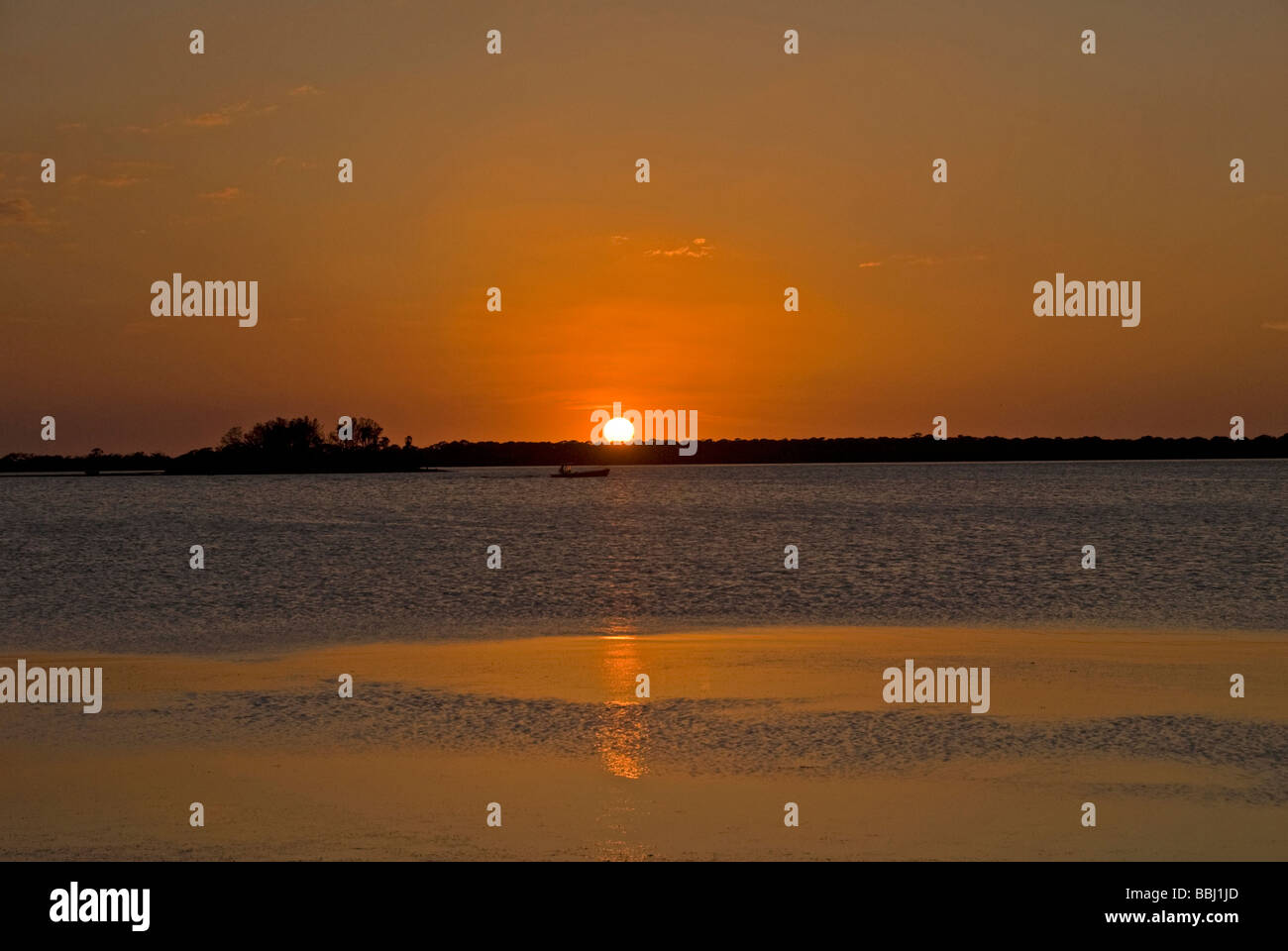 North dunedin north dunedin hi-res stock photography and images - Alamy