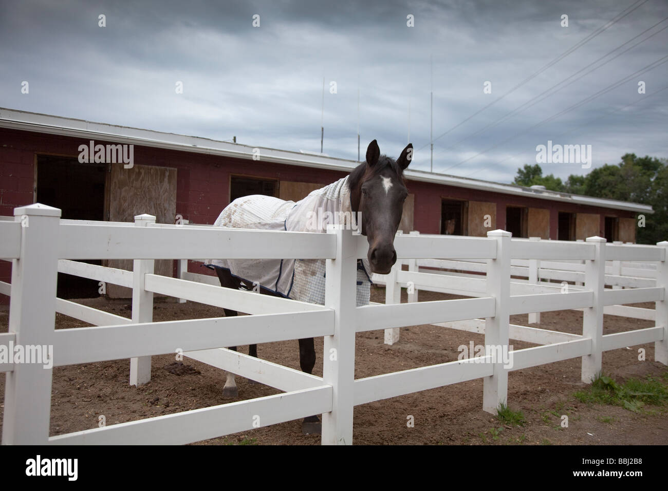 Horse outside barn hi-res stock photography and images - Alamy