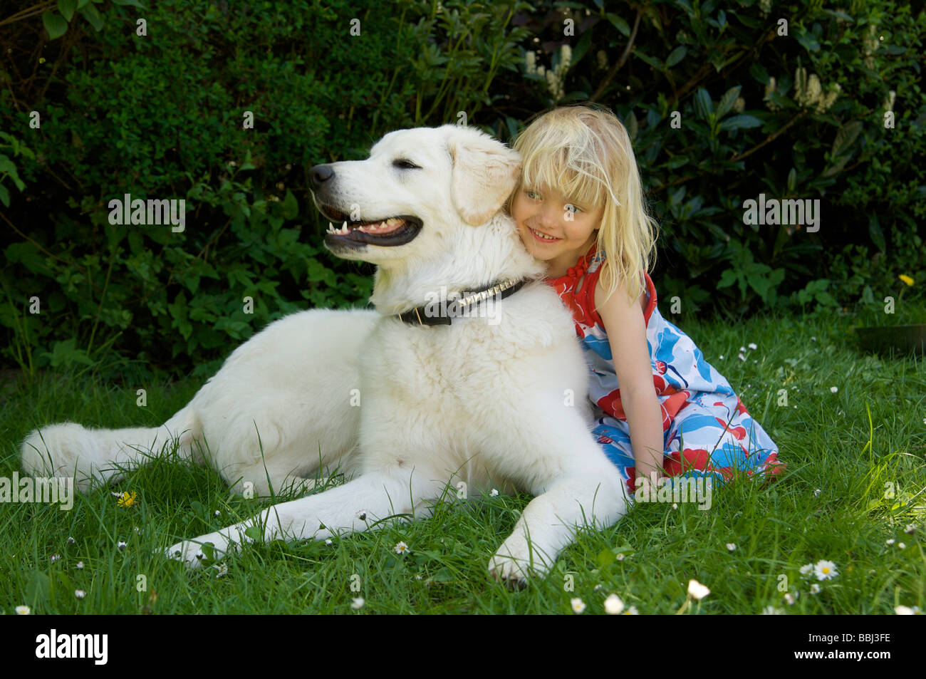 Does The Polish Tatra Sheepdog Love Children