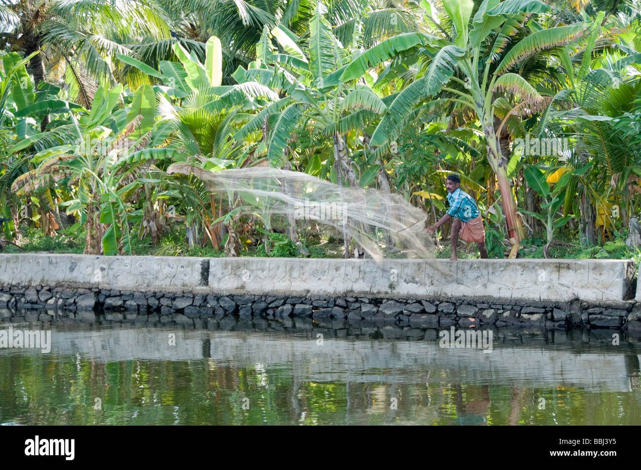 Fishing with a cast net or throw net in backwaters kerala, India Stock ...