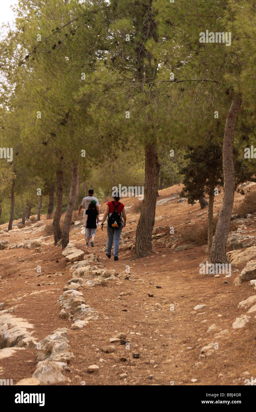 Israel Southern Hebron Mountain hiking in Yatir forest Stock Photo - Alamy