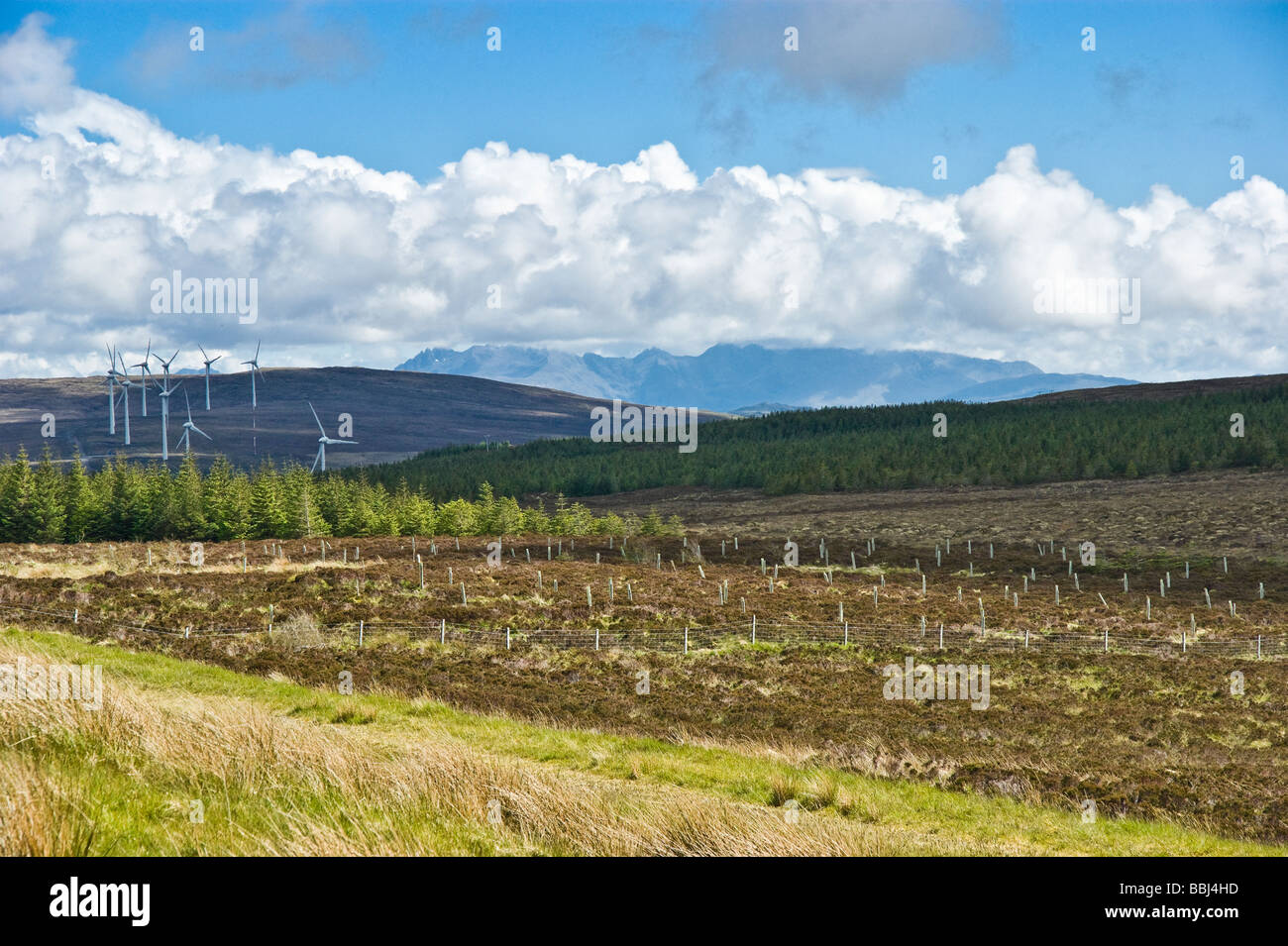 Wind and sunshine scotland hi-res stock photography and images - Alamy