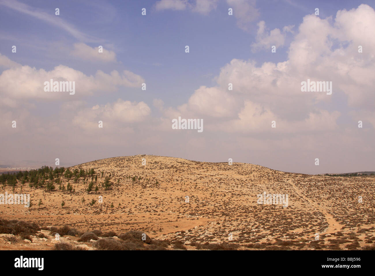 Israel Southern Hebron Mountain the ancient Roman road on Mount Amasa ...