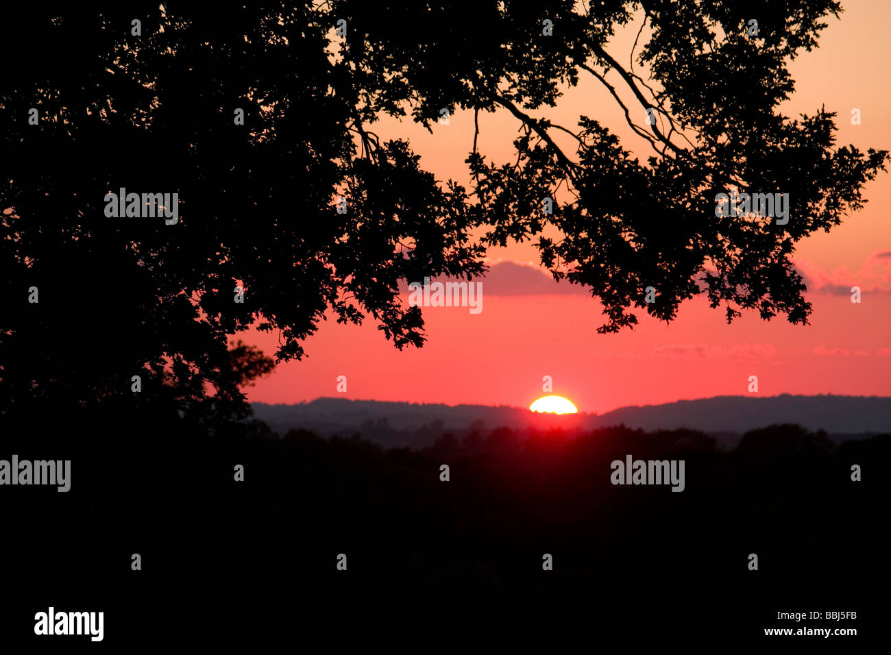 Deep red and orange hi-res stock photography and images - Alamy