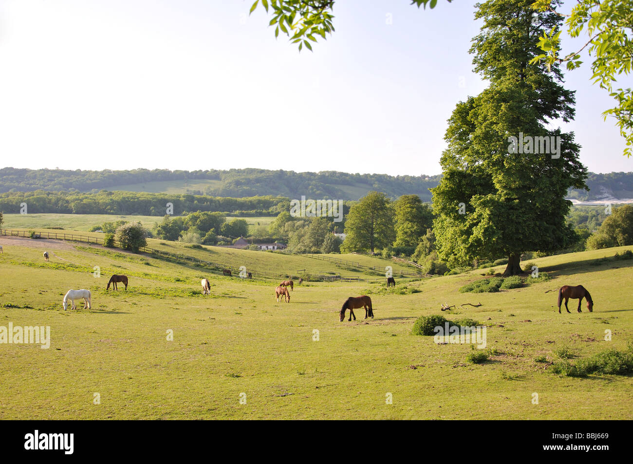Old english countryside hi-res stock photography and images - Alamy