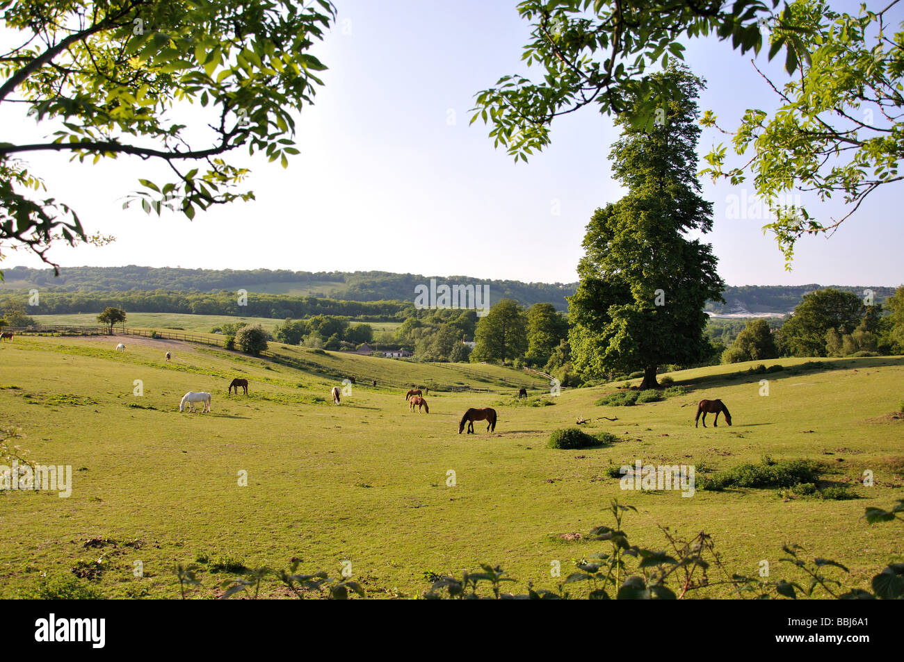 Old english countryside hi-res stock photography and images - Alamy