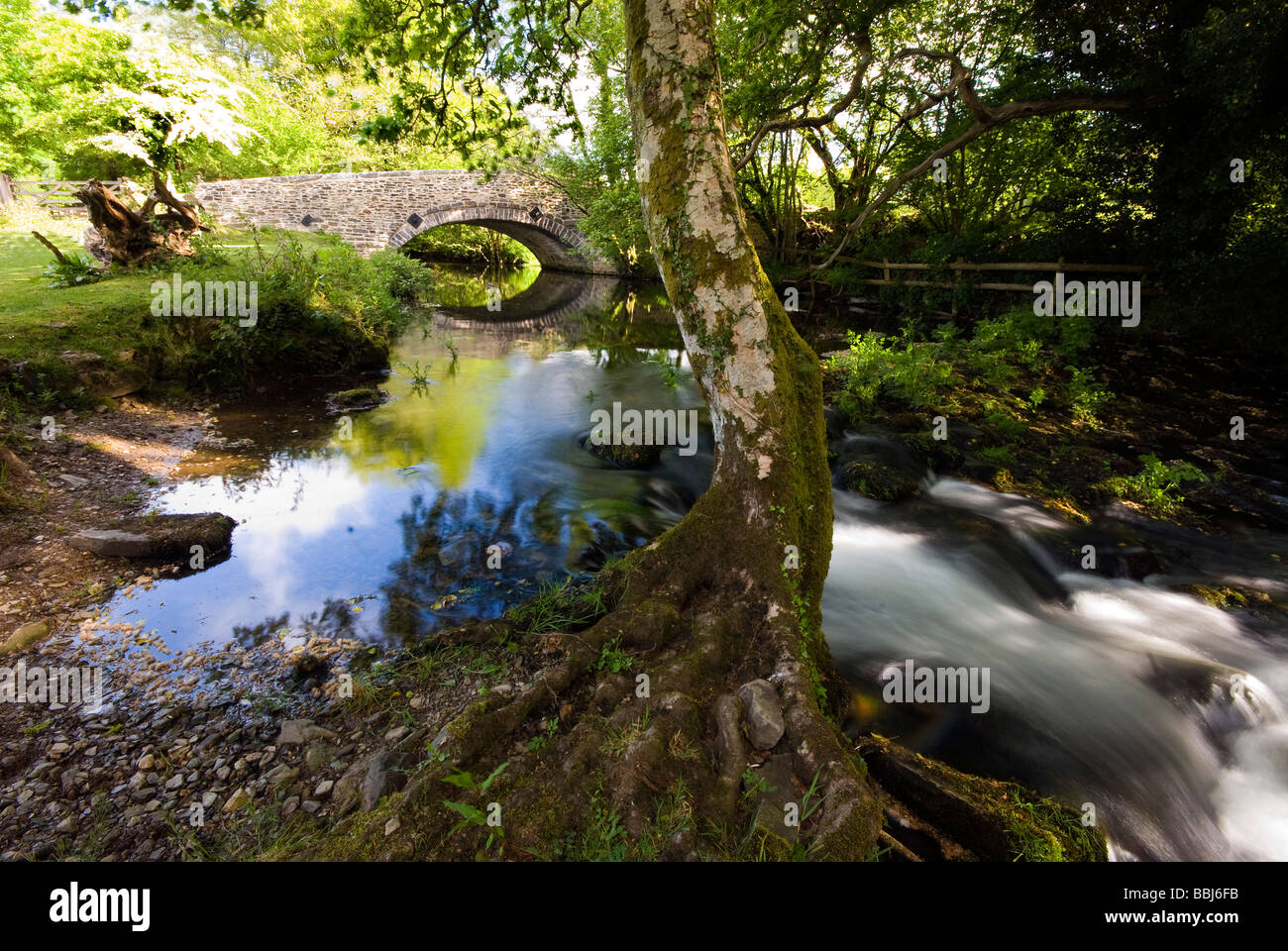 Running Waters at Hoo Meavy Bridge Stock Photo - Alamy